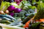 Horticulture Lecture Notes: Download Free PDF