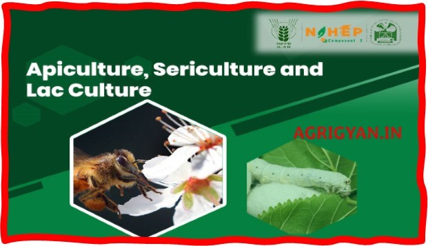 Apiculture, Sericulture, And Lac Culture PDF: Free Download