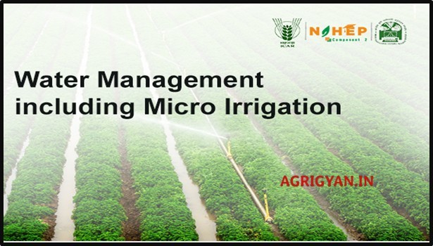 Water Management Including Micro Irrigation PDF: Free Download