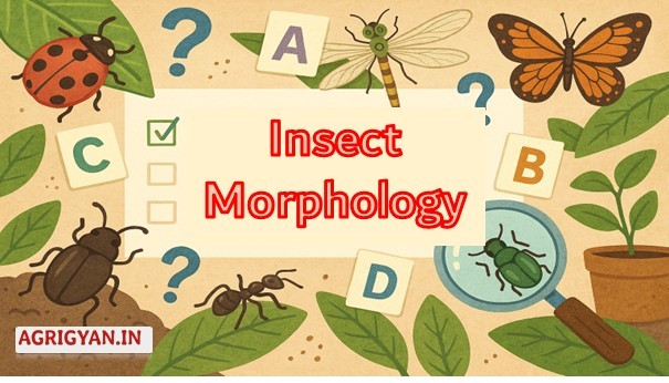 Agri Quiz: Entomology: Insect Morphology MCQ